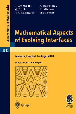 【预售】Mathematical Aspects of Evolving Interfaces: