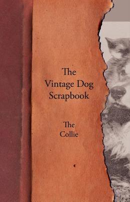 【预售】The Vintage Dog Scrapbook - The Collie