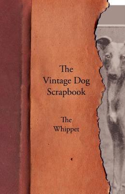 【预售】The Vintage Dog Scrapbook - The Whippet