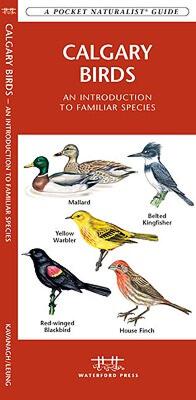 【预售】Calgary Birds: An Introduction to Familiar Species