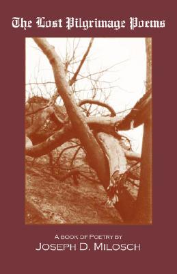 【预售】The Lost Pilgrimage Poems