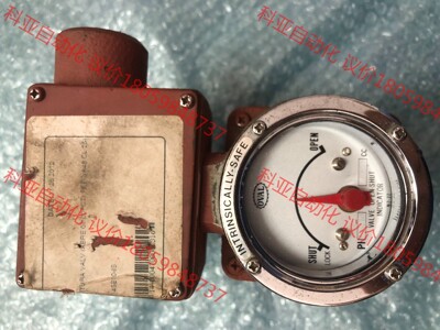 OVAL PI45B10 9572CC,流量计，全新未使用备