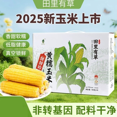 田里有草甜糯玉米家庭装12棒整箱东北吉林黄糯玉米真空装早餐玉米