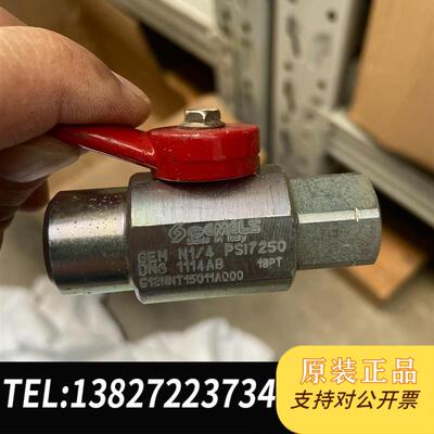意大利GEMELS盖姆斯手动高压球阀GEM N1/4的,DN需询价