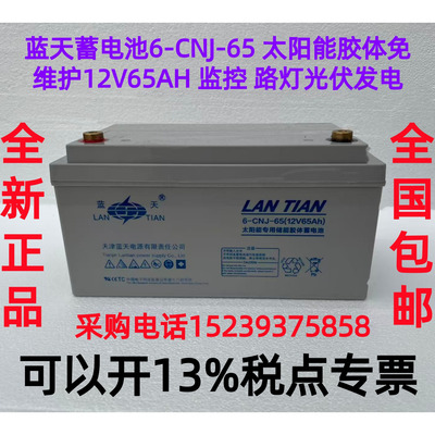 蓝天蓄电池6-CNJ-65 太阳能胶体免维护12V65AH 监控 路灯光伏发电