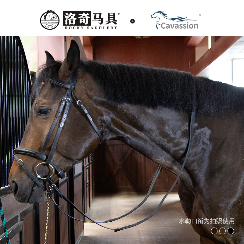 Cavassion牛皮波点橡胶防滑缰绳8218128