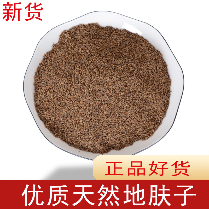 地肤子中药材地肤籽 可磨地肤子粉地夫子正品泡茶无硫新货