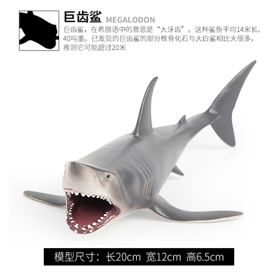 儿童仿真海洋动物玩具模型鱼缸造景摆件礼物巨齿鲨大白鲨鲨鱼虎鲨