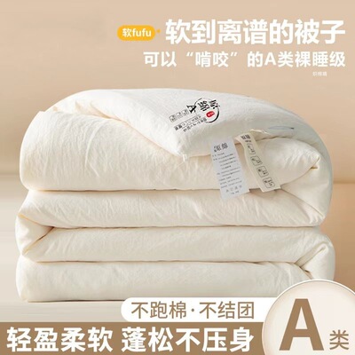 Soybean fiber quilt, thickened winter/autumn quilt core