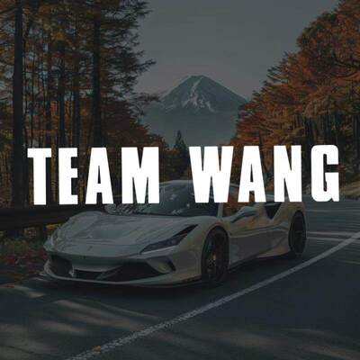 TEAMWANG王嘉尔汽车车贴