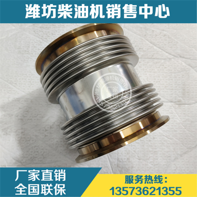 潍柴博杜安12M26波纹管6M33原厂