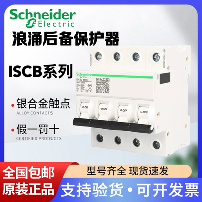 施耐德浪涌后备保护器ISCB1/2