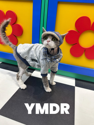 YMDR潮酷棒球帽绅士风围巾纯棉T