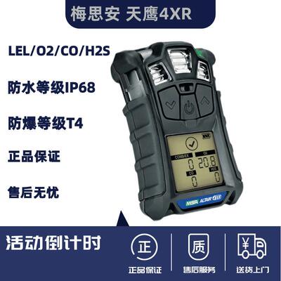 10238335天鹰4XR四合一气体检测仪ExO2COH2S