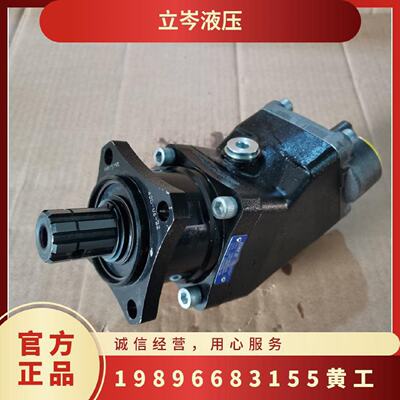 询》意大利OMFB埃姆菲柏HDS34定量柱塞泵订货号10801403431