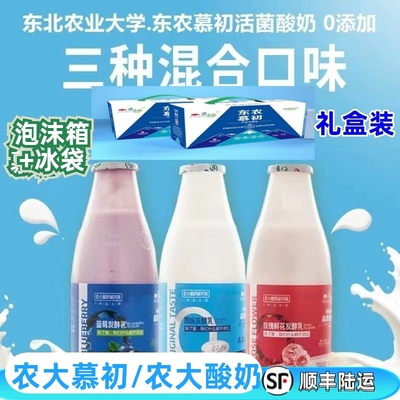 东农慕初175g原味农大酸奶0添加