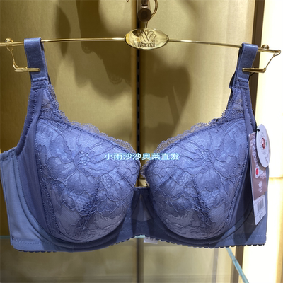 华歌尔 WB8612 薄款大胸显小侧收副乳大杯女超大码文胸8617替代