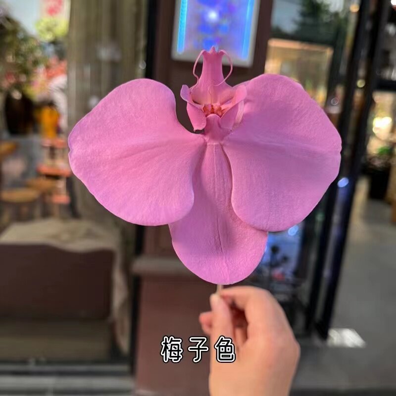 鲜花喷漆喷色剂染色剂密西根碎冰蓝 乌梅子酱 鲜花改色喷漆