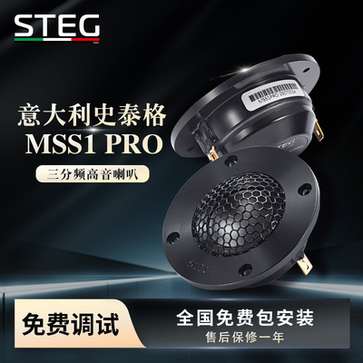 意大利STEG史泰格喇叭MSS1 PRO高音车载扬声器汽车音响改装包安装