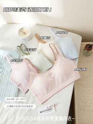 美背固定杯文胸吊带式细肩带蚕丝内衣无钢圈无痕无缝莫代尔8065