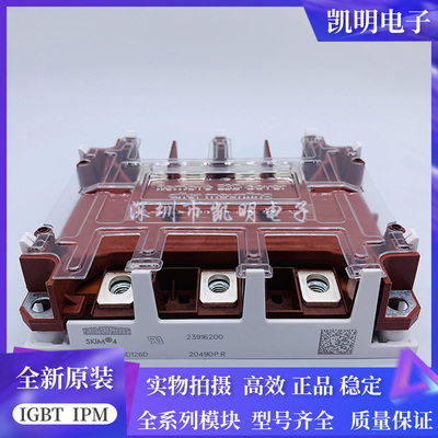 SKIM304GD12T4D SKIM300GD126DL SKIM250GD128D SKIM200GD126D