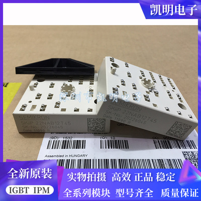 SKIIP22NAB12T18 SKIIP20NAB12T45 SKIIP20NAB12T17 22NAB12T46