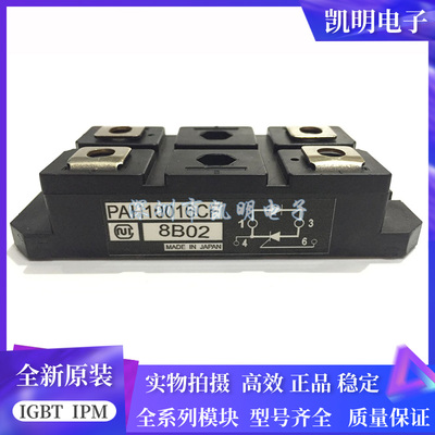 PAH1008CF PAH1008CM PAH10016CF PAH2518CF PGH10016AM