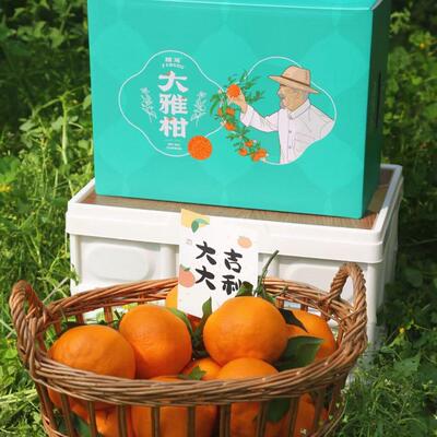 四川眉山精笃大雅柑非耙耙柑好吃嫩甜多汁无籽柑橘高端礼盒装顺丰