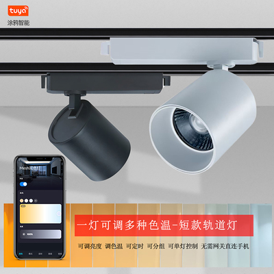涂鸦蓝牙智能调光调色轨道灯