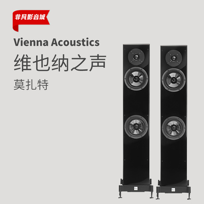 莫扎特发烧hifi落地式音箱