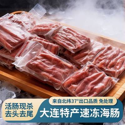 海肠新鲜大连当地厚海肠400克速冻海肠皮去头尾内脏海肠捞饭食材