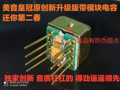 美音双冠 双运放 OPHDAM SS2598SQ 升级OP06AT发烧V5i-D AD827AQ