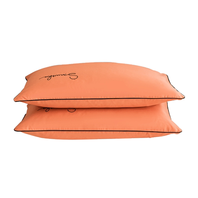 100%秋冬家用学生宿舍只装枕头套