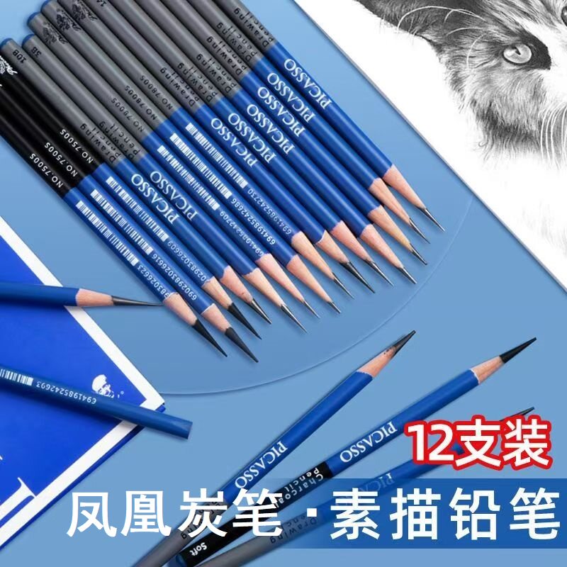 凤凰铅笔素描绘画铅笔炭笔2h2B 16b软中硬炭笔速写特软碳绘图笔