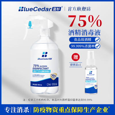 75%酒精喷雾消毒液家用杀菌室内消毒水75度500ml大瓶