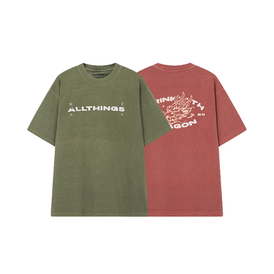 ALLTHINGS 24SS 与龙共饮 做旧水洗 tee 短袖 红绿 Drinking Team