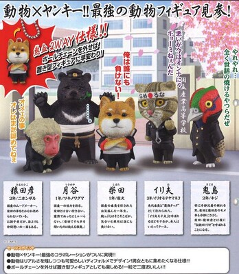茶猫屋现货日本周边T-ARTS国立动物暴力团伙高校生第一弹吊饰扭蛋
