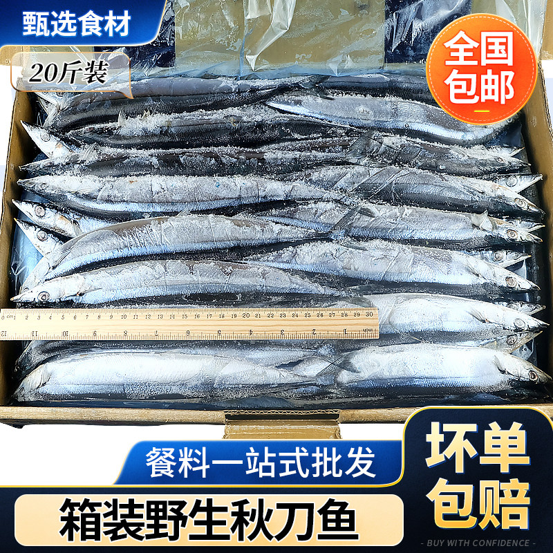 广东一件包邮 二号秋刀鱼20斤一箱 冷冻新鲜海鱼日式秋刀鱼烧烤