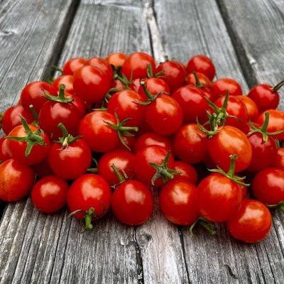 成百上千【垂蔓型】5粒（荒野拾遗录）满29包邮