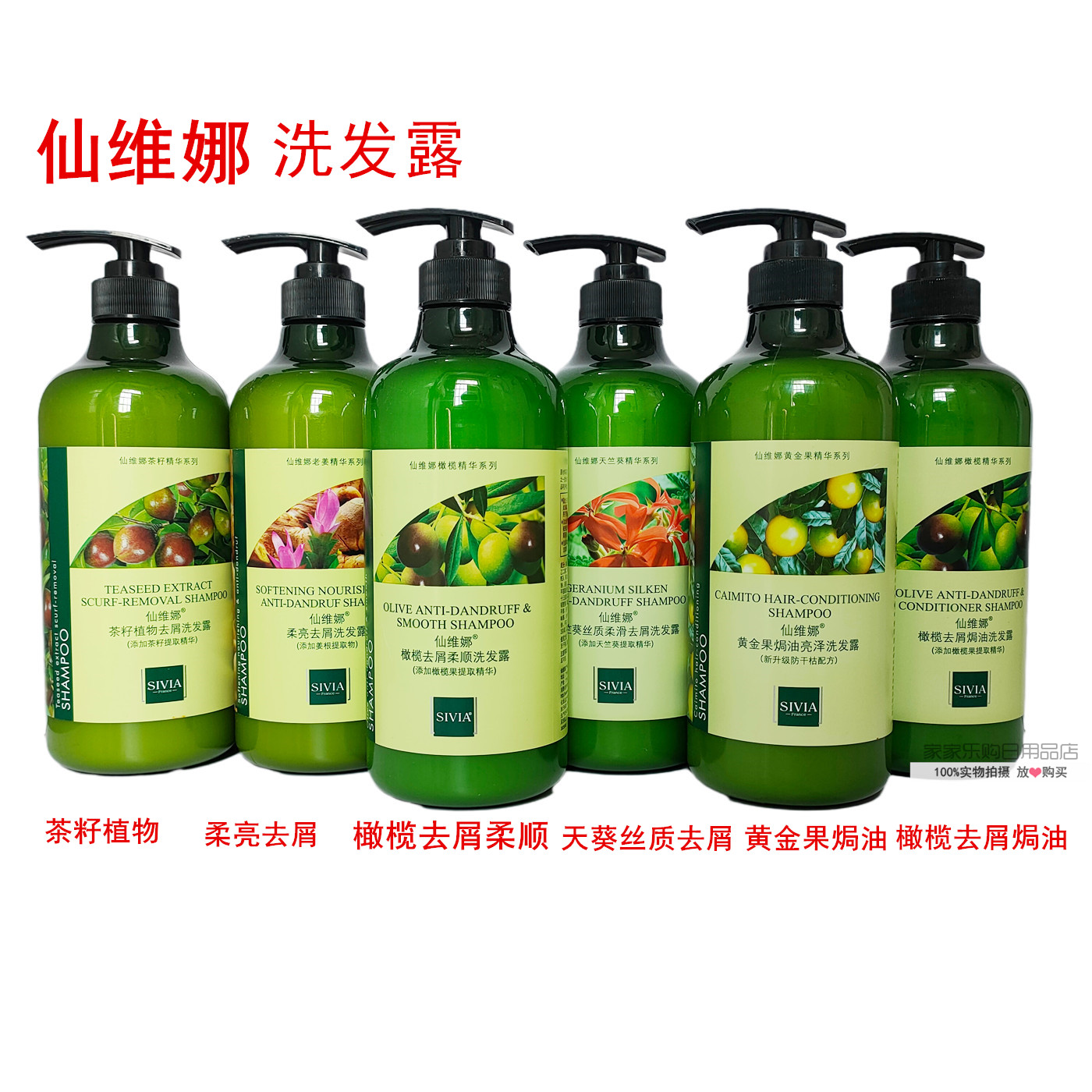 仙维娜洗发露橄榄去屑柔顺洗发水黄金果茶籽去油腻焗油清爽洗发水