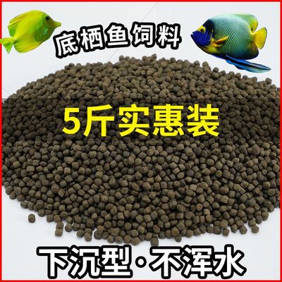 底栖鱼饲料甲鱼食下沉型兰寿锦鲤蝴蝶鲤鹦鹉鱼蓝鲨招财猫银龙通用