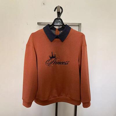 天轩2024秋新款女式卫衣