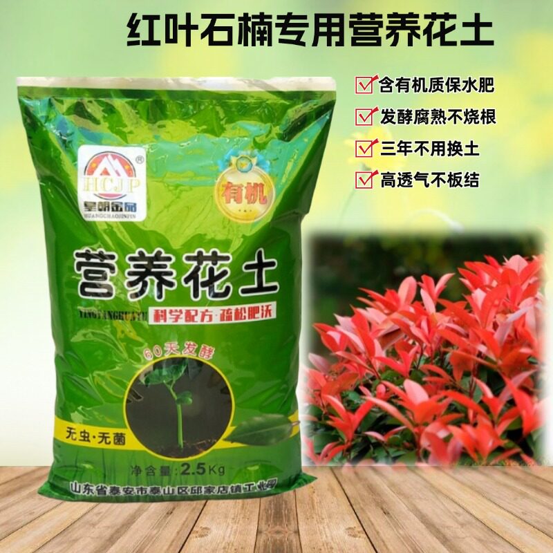 红叶石楠球树苗营养花土庭院篱笆墙绿化植物专用有机肥沃种植土壤