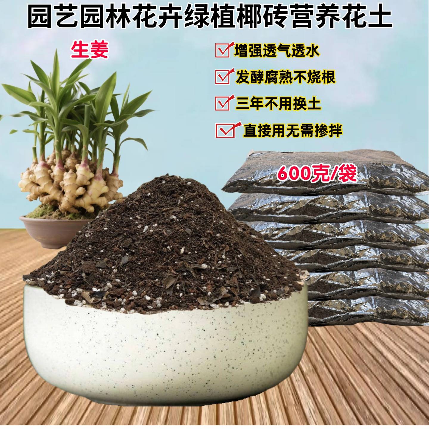禄根姜一桶姜山生姜营养椰砖土庭院阳台盆栽植物育苗专用种植土壤