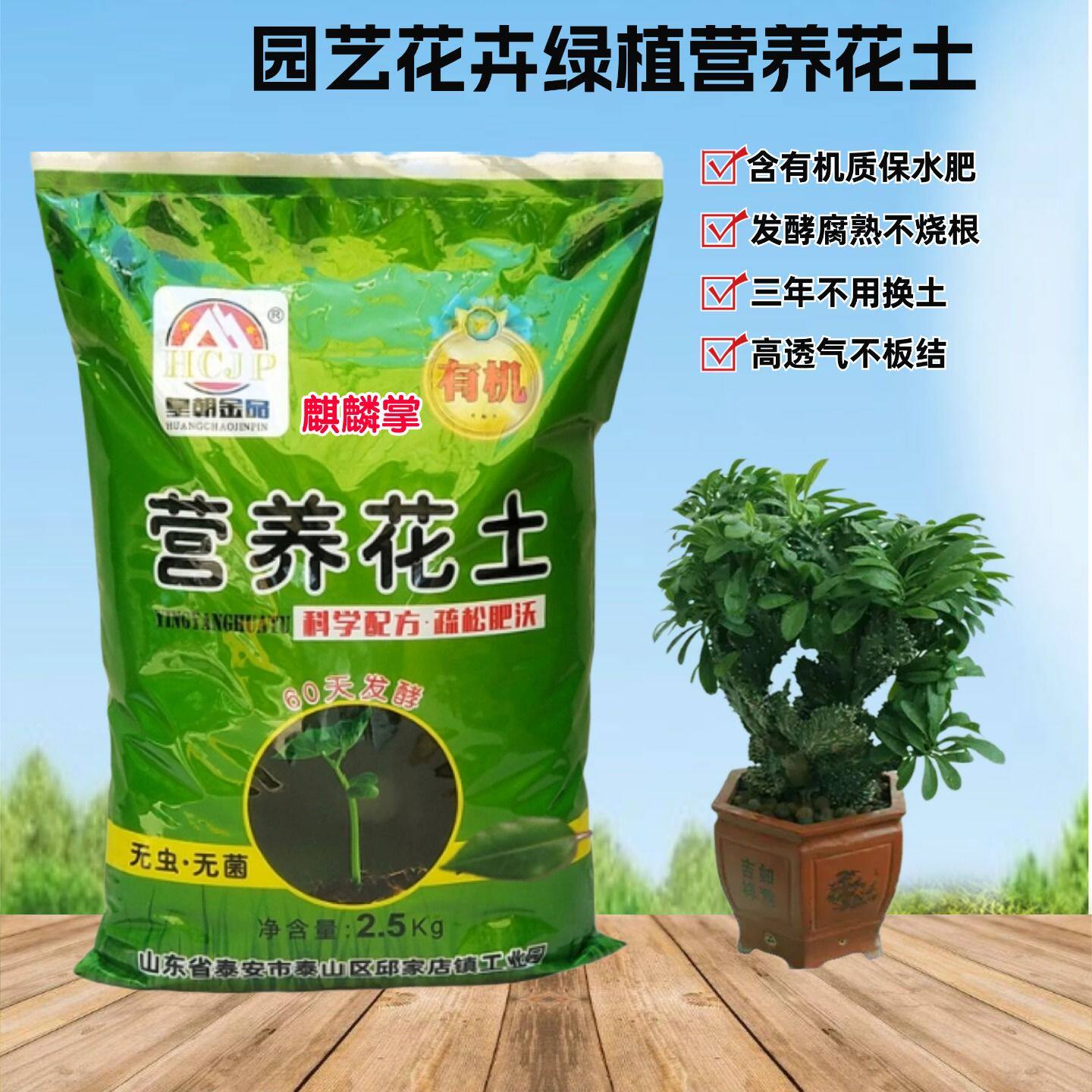 麒麟掌彩玉麒麟营养花土室内阳台盆栽多肉植物透气肥沃专用翻换土