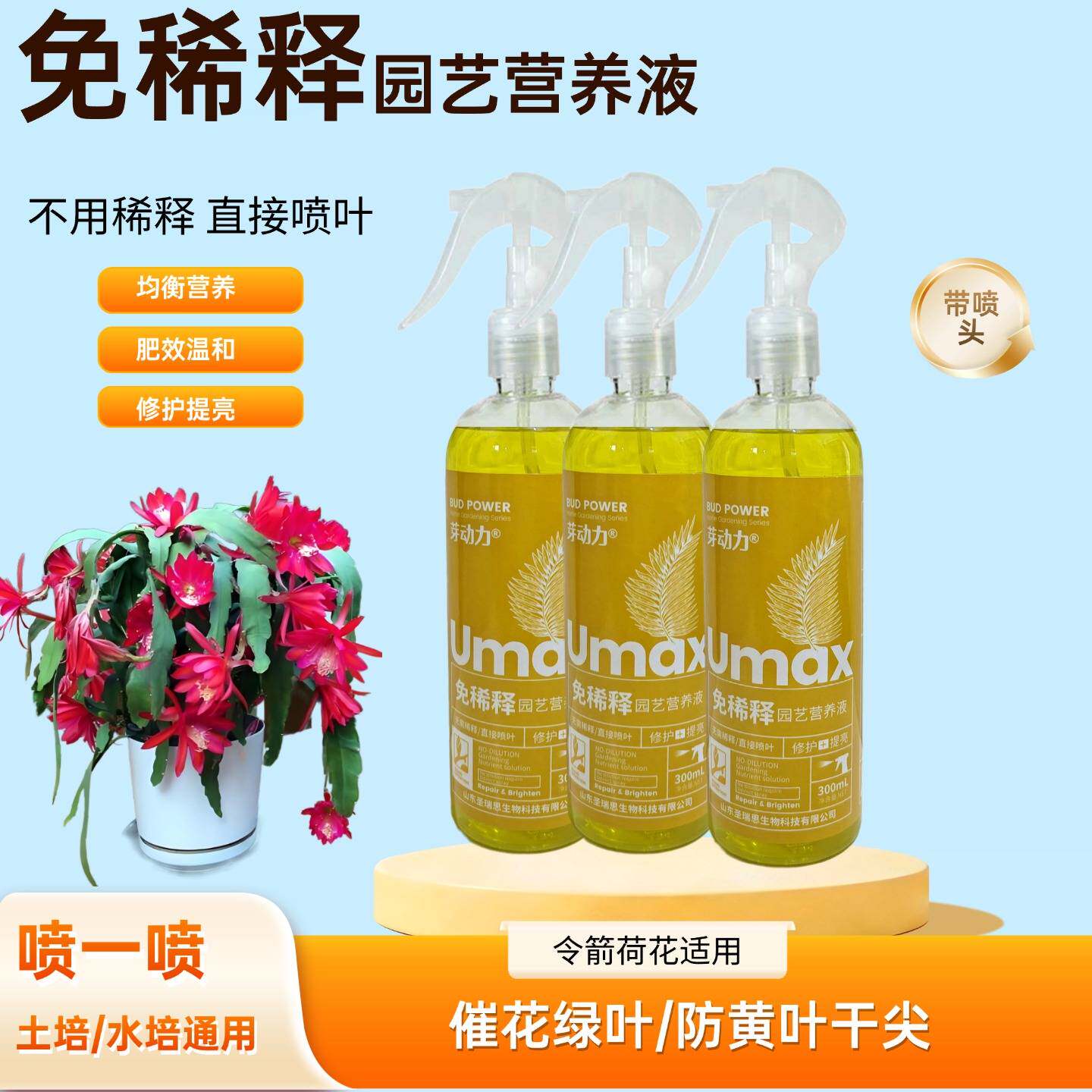 令箭荷花多肉免稀释营养液仙人剑昙花室内水培盆栽植物专用叶面肥
