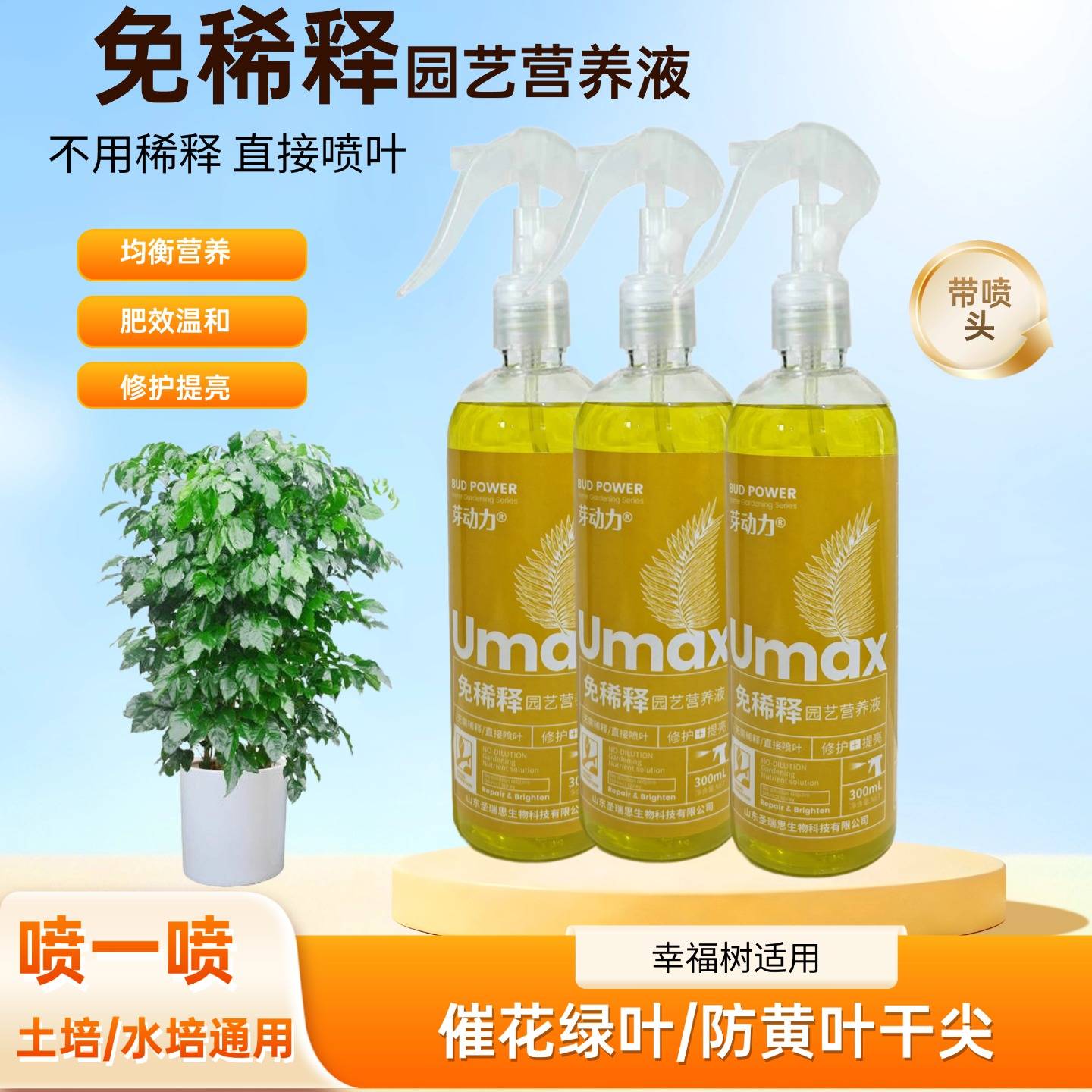 幸福树绿宝树免稀释专用营养液室内客厅老桩盆栽植物水溶喷叶面肥