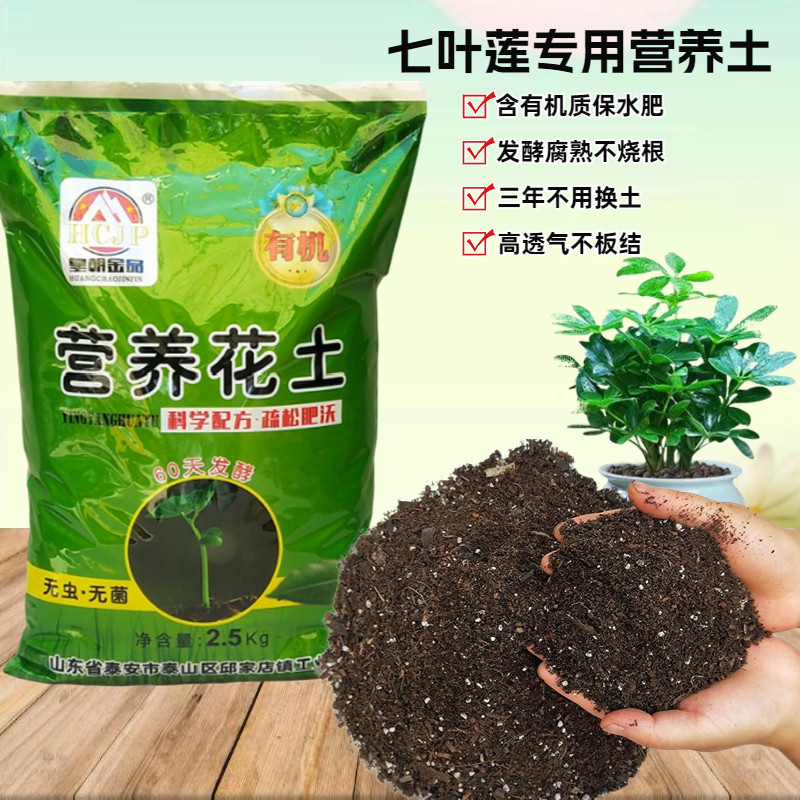 七叶莲专用营养花土家盆栽八方来财植物通用型有机微酸沙性种植土