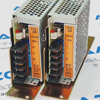 LOS VON 2 COSEL P15E15N 15V 1A NETZTEIL EINGANG AC100240V P1