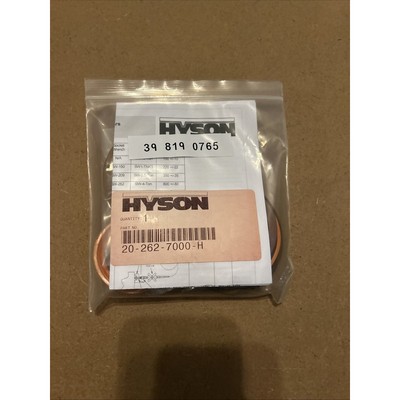 HYSON 20-262-7000-H NITROGEN CYLINDER